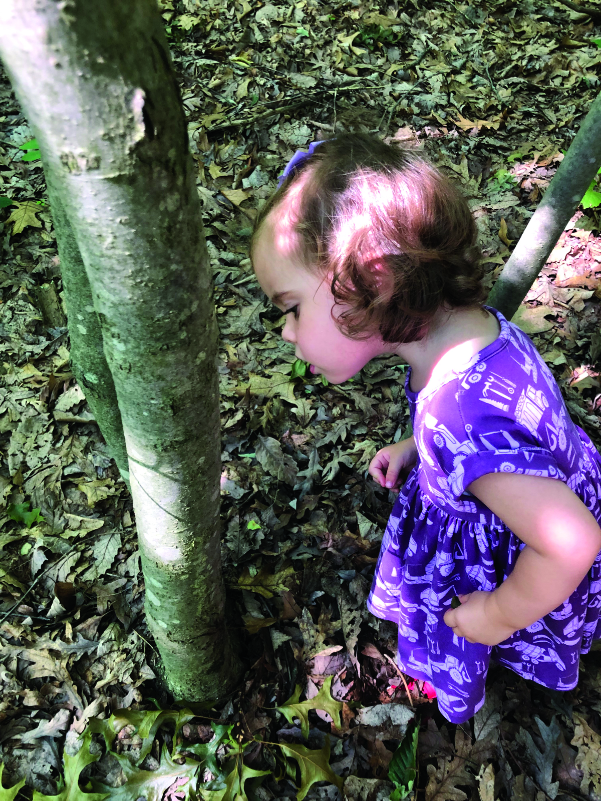 Youth Programs – Buttonwood Nature Center